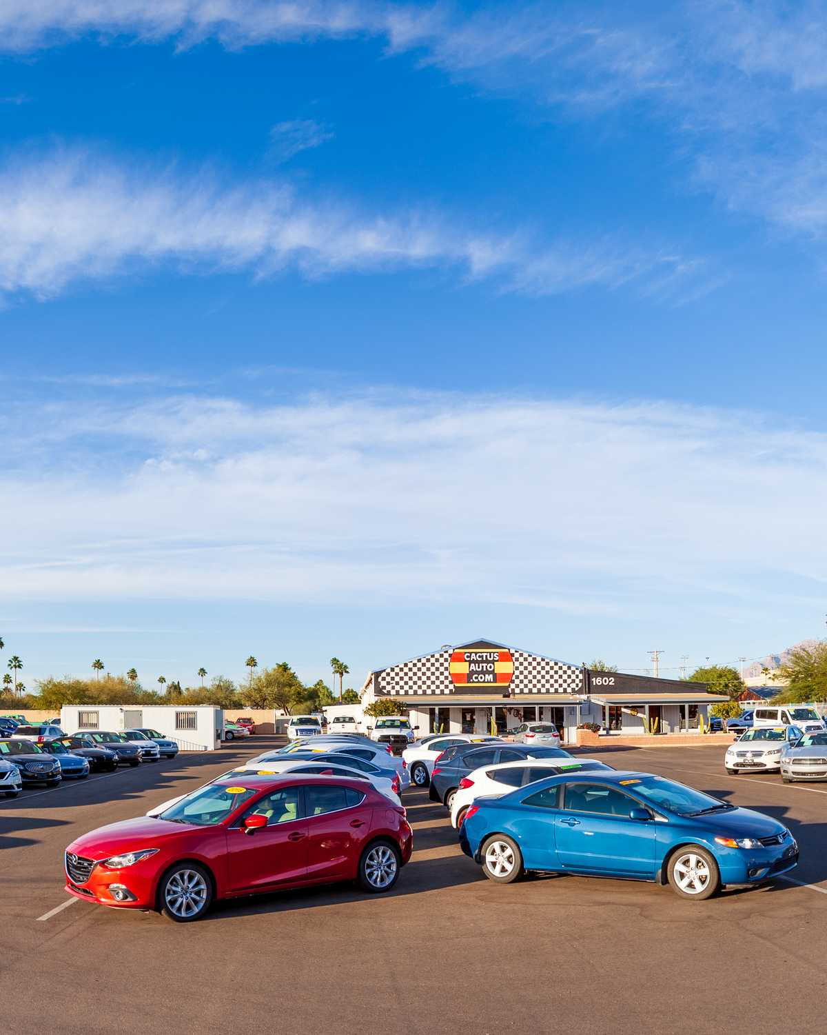 Cactus Auto - Tucsonan